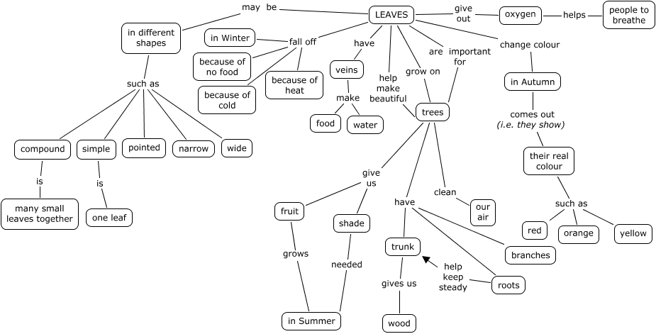Krista Leaves 2 4 paper - Why do leaves fall off a tree?